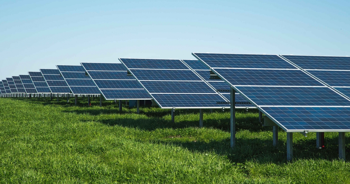 Cofocos solcellepark har nydt godt af den danske sommer | Cofoco